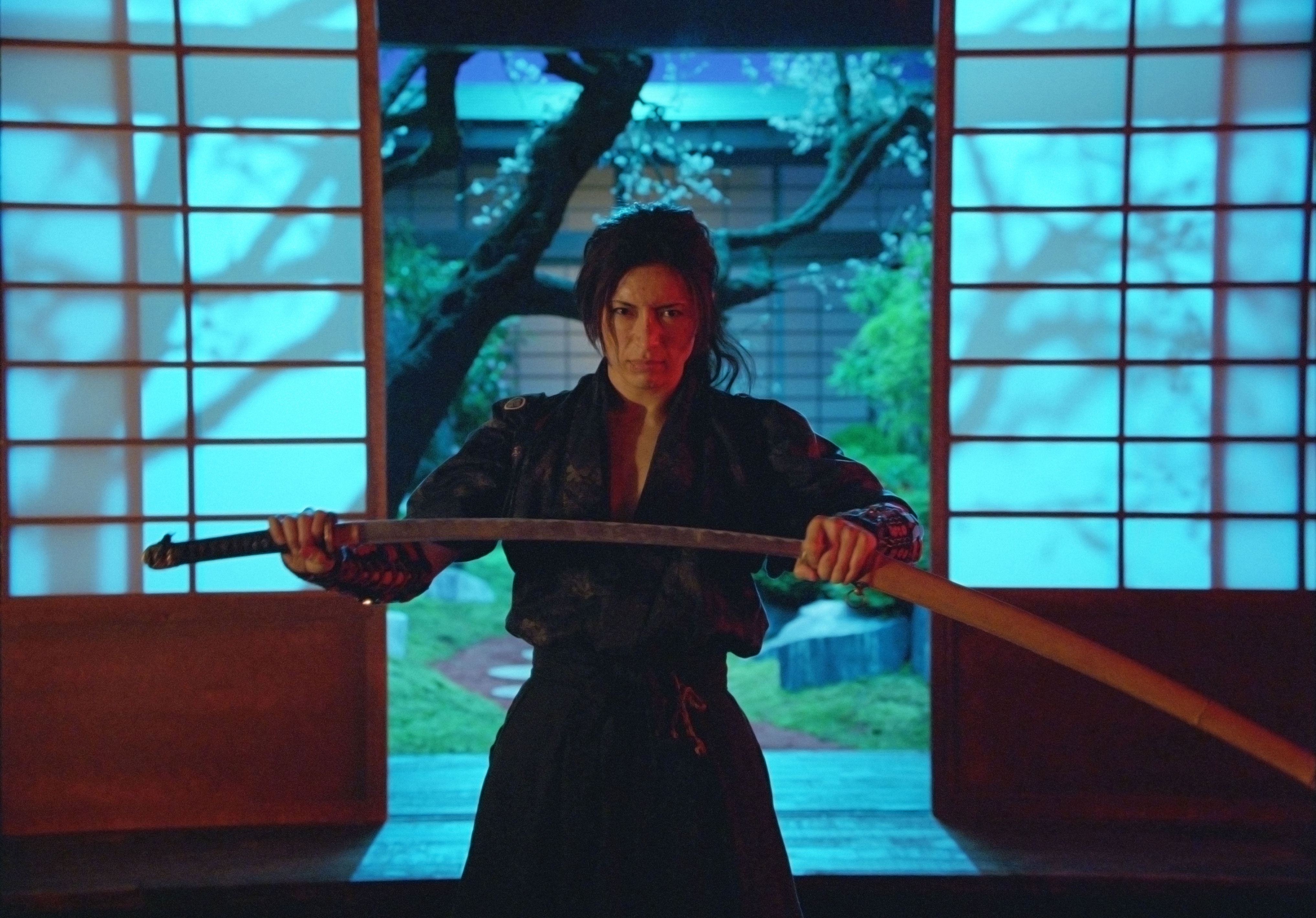 The First Photos from Demi Moore & Woody Harrelson's Bunraku - HeyUGuys