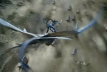New Clip from the Avatar Extended Collector's Edition - Sturmbeest ...