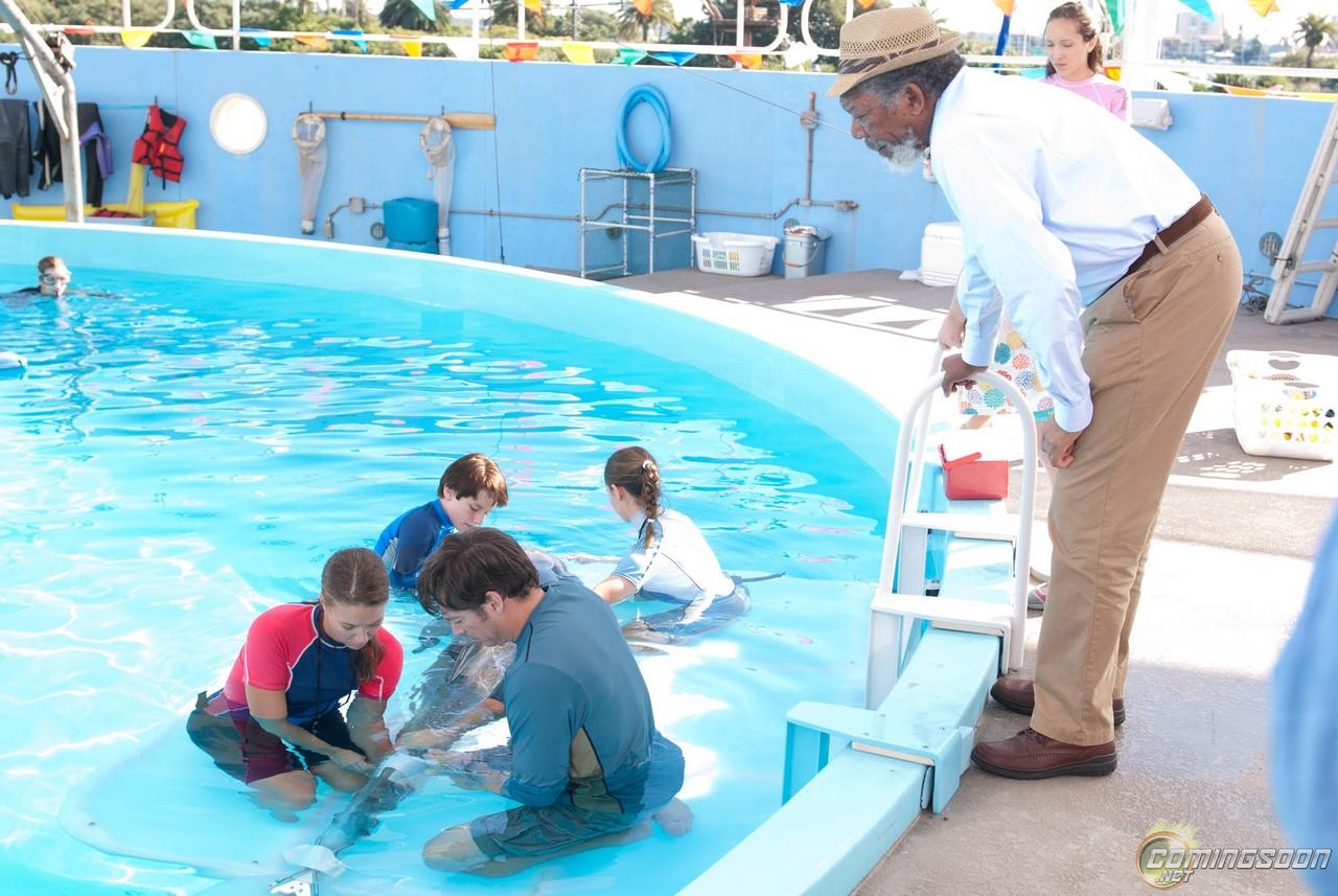 New Trailer and Images from Dolphin Tale - HeyUGuys