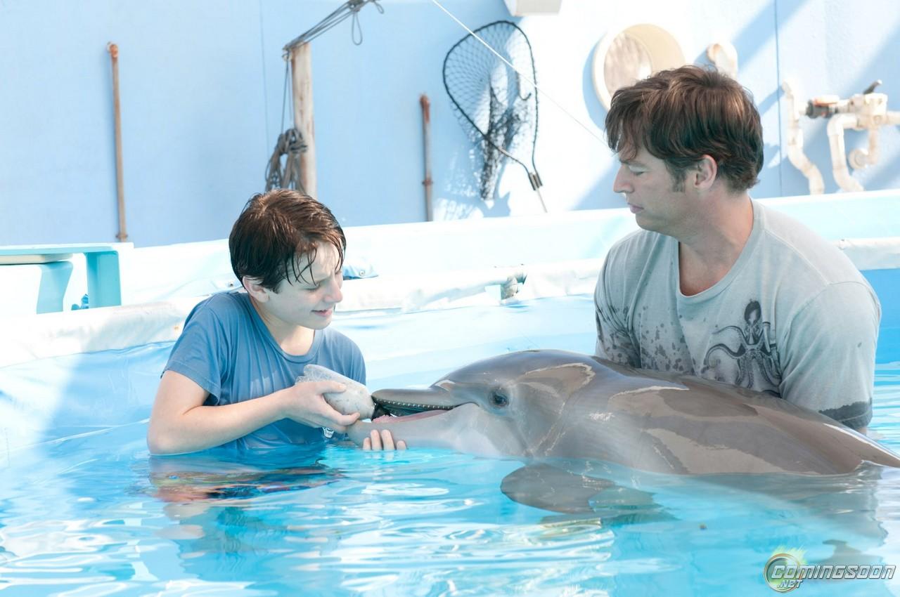 New Trailer and Images from Dolphin Tale - HeyUGuys