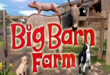 Big Barn Farm DVD Reviews - HeyUGuys