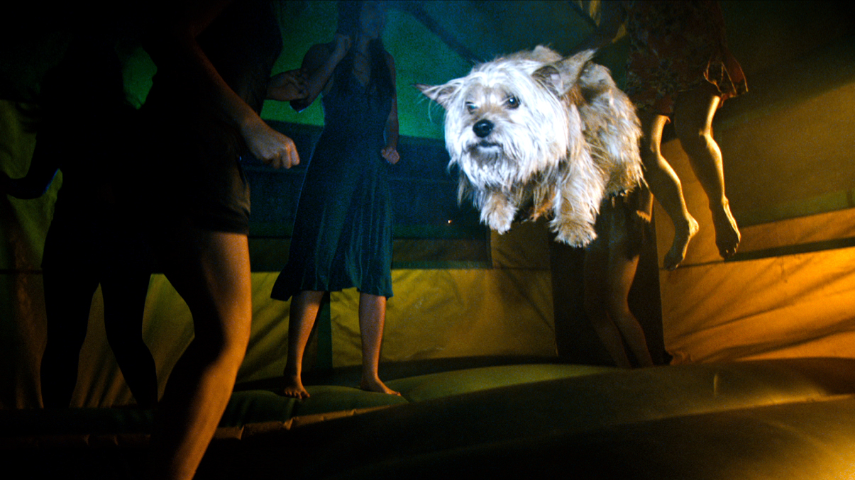 Project X The Hangover