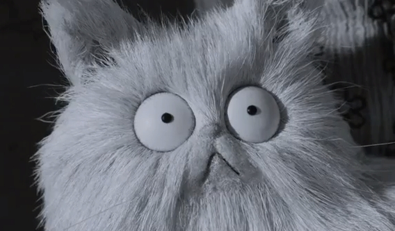 Frankenweenie 2024 Brilhante #2nc #2ncgainesville #2ndandcharles