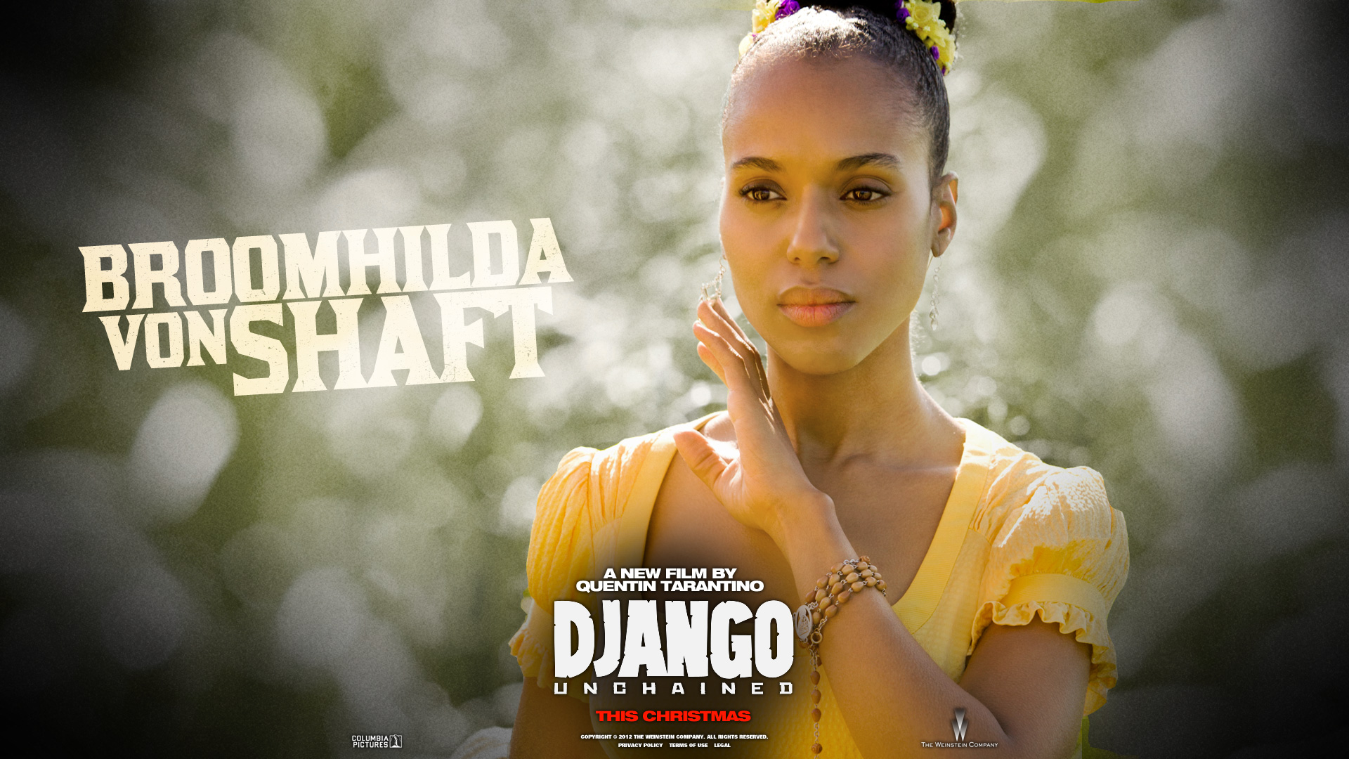 Django Unchained Character Banner – Kerry Washington - HeyUGuys