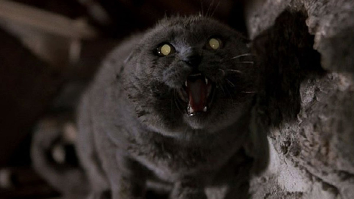 Pet Sematary unearths Starry Eyes' Kevin Kolsch and Dennis Widmyer to ...