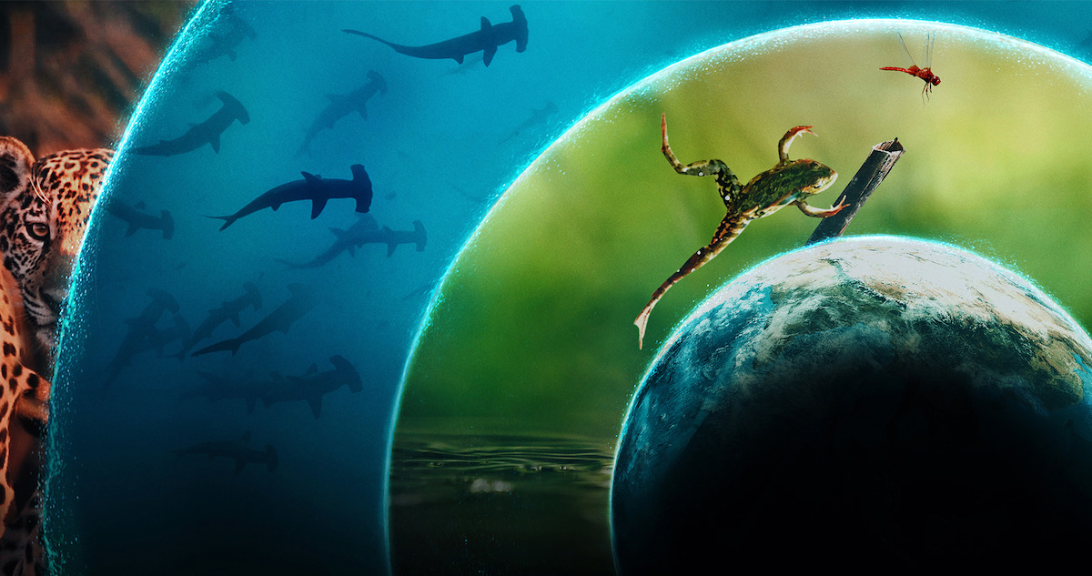 Trailer lands for docu-series 'Our Living World' - HeyUGuys